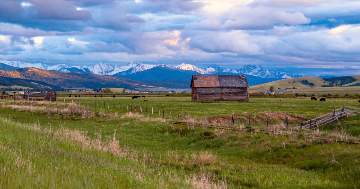 McKinney Land & Cattle Company – Land: The Stable Investment